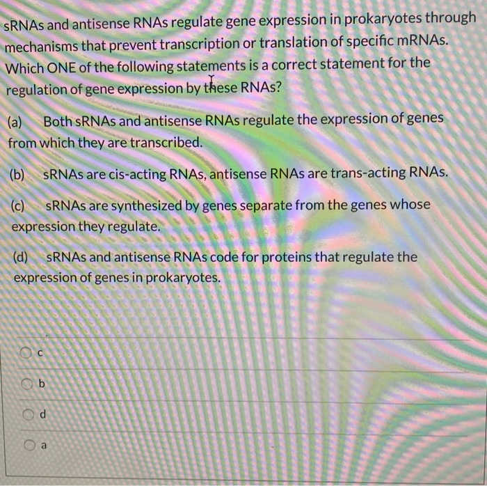 Solved SRNAs and antisense RNAs regulate gene expression in | Chegg.com