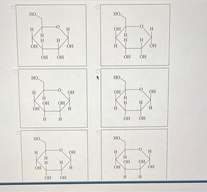 Solved Select the two Haworth structures below that | Chegg.com