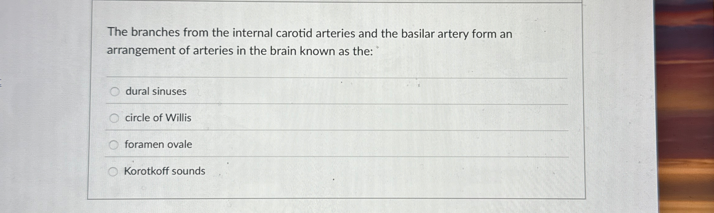Solved The branches from the internal carotid arteries and | Chegg.com
