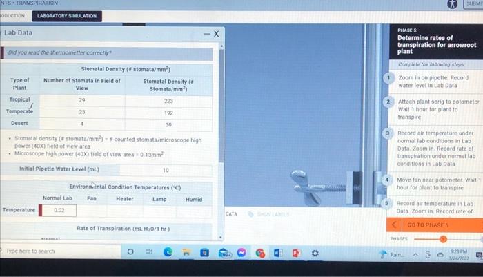 NES TRANSPIRATION ODUCTION LABORATORY SIMULATION Lab | Chegg.com