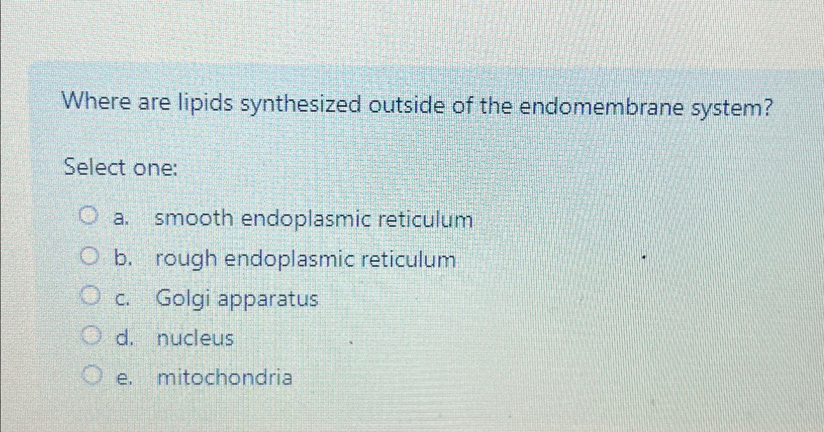 Solved Where are lipids synthesized outside of the | Chegg.com