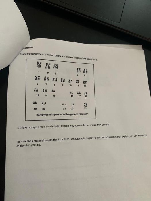 Solved Incomplete Dominance If ' B ' allele is black and ' b | Chegg.com