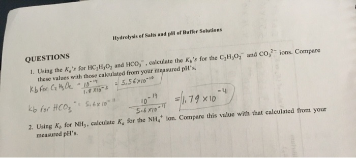 Solved CALCULATIONS Solution Net-ionic equation for | Chegg.com