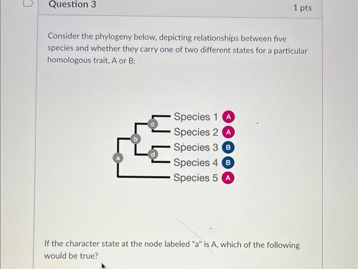 Solved Consider the phylogeny below, depicting relationships | Chegg.com
