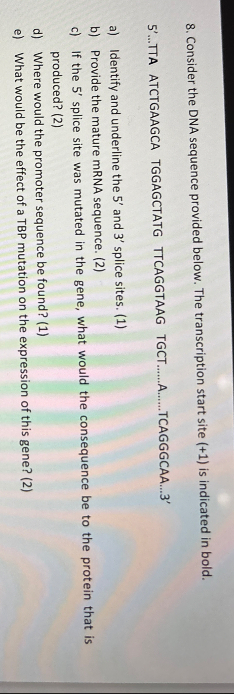 Solved Consider the DNA sequence provided below. The | Chegg.com