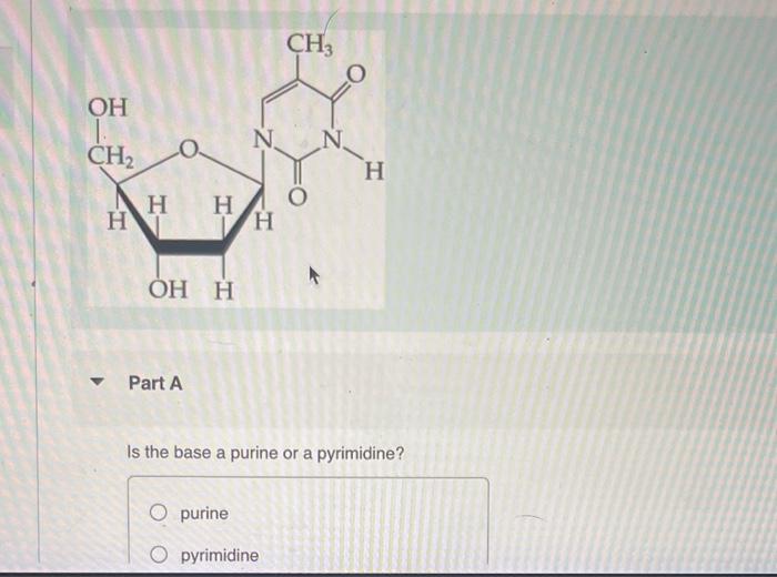 Solved Is the base a purine or a pyrimidine? purine | Chegg.com