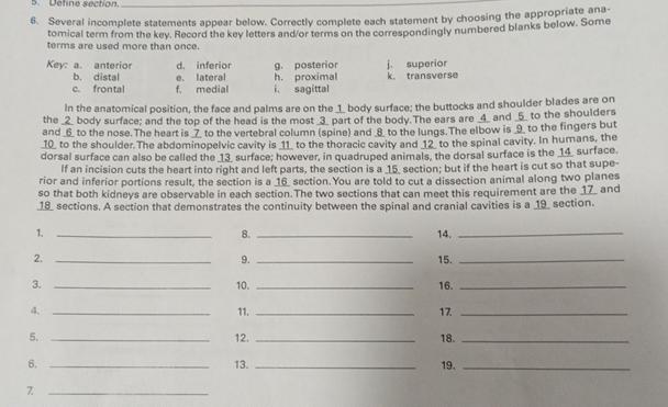 Solved Definesection,Several incomplete statements appear | Chegg.com