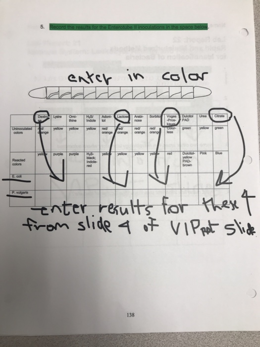 Solved 5. Record the results for the Enterotube II | Chegg.com