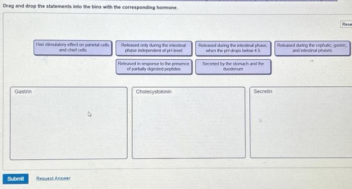 Solved Drag and drop the statements into the bins with the | Chegg.com