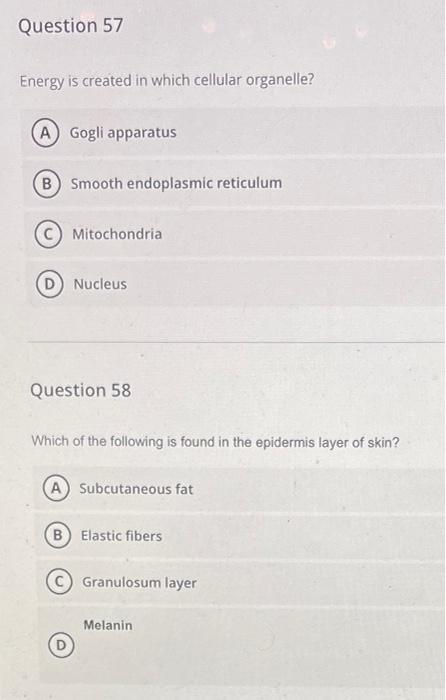 Solved Hello! i need help answering ALL of the following | Chegg.com