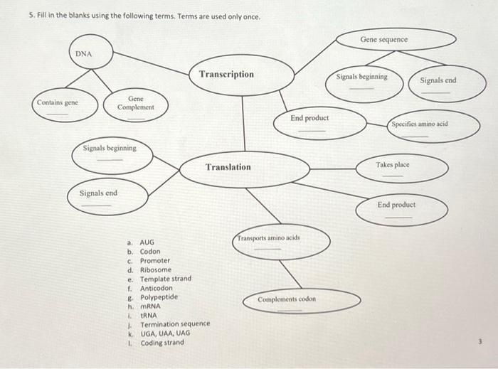 Solved fill in the blanks using the following terms. terms | Chegg.com