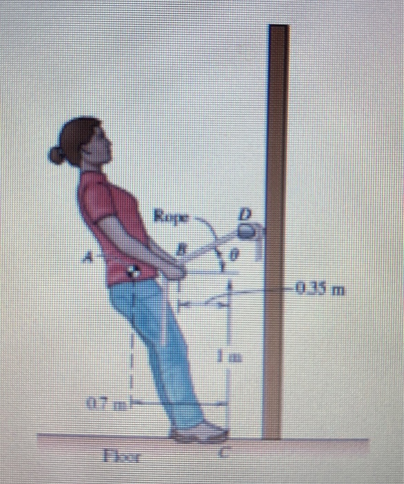 Solved 至 a) Draw the FBD for the 600 N person pulling on | Chegg.com