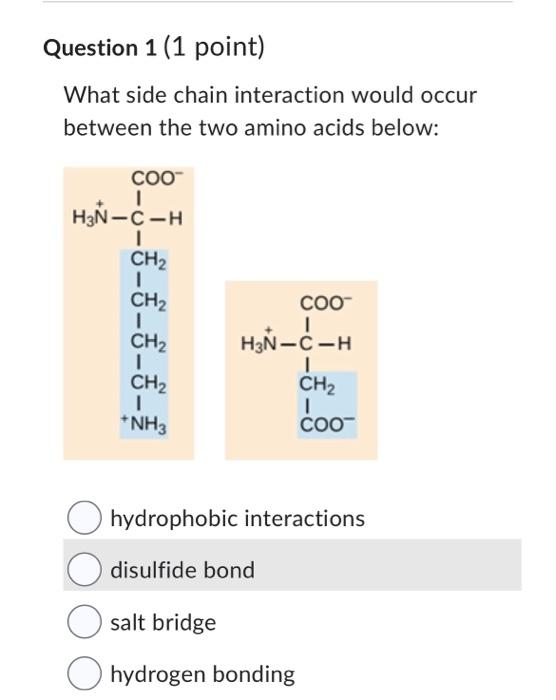 Solved What side chain interaction would occur between the | Chegg.com