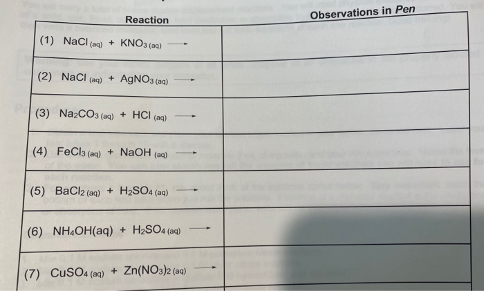 Solved Reaction Observations in Pen (1) NaCl(aq) + KNO3 (aq) | Chegg.com