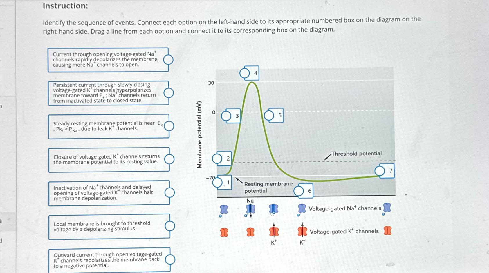 Solved Instruction:Identify the sequence of events. Connect | Chegg.com