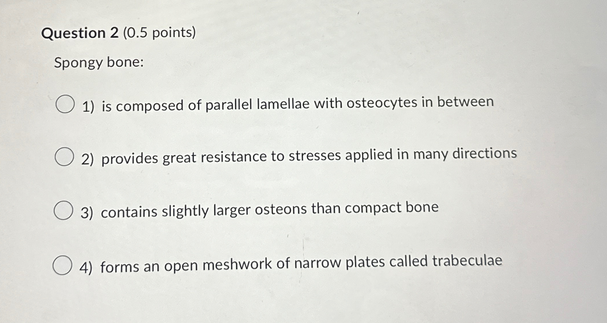 Solved Question 2 (0.5 ﻿points)Spongy bone:is composed of | Chegg.com