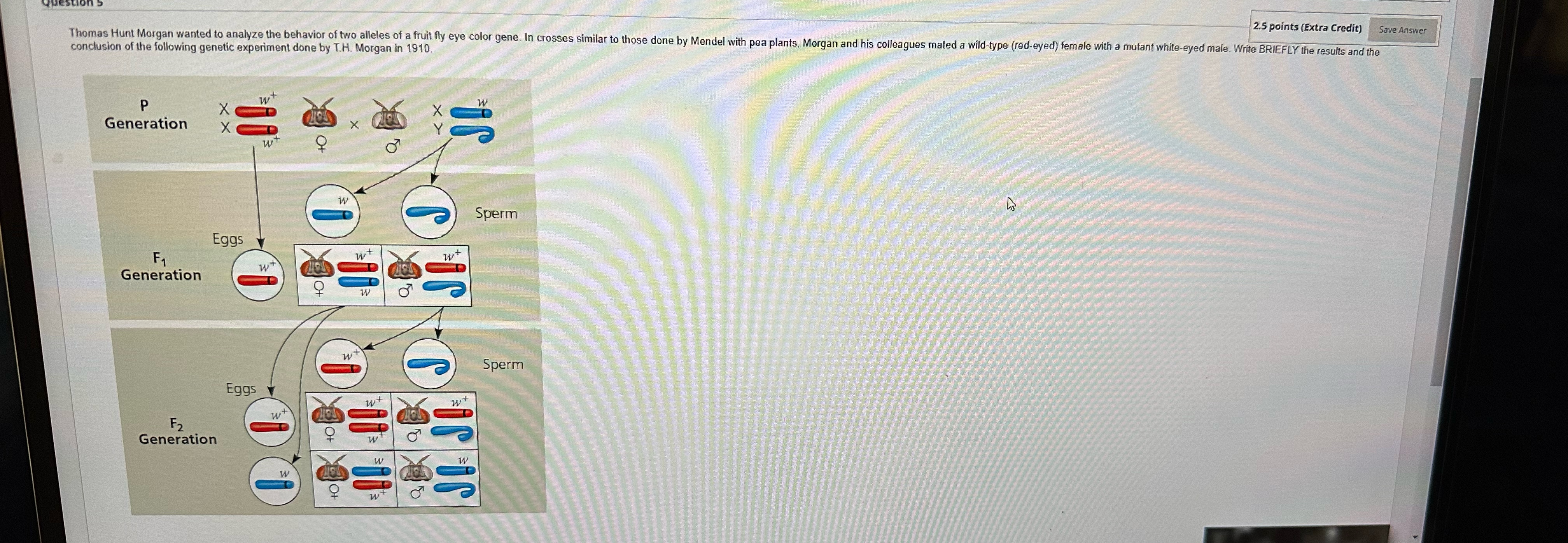 Solved 2.5 ﻿points (Extra Credit)Save Answer | Chegg.com
