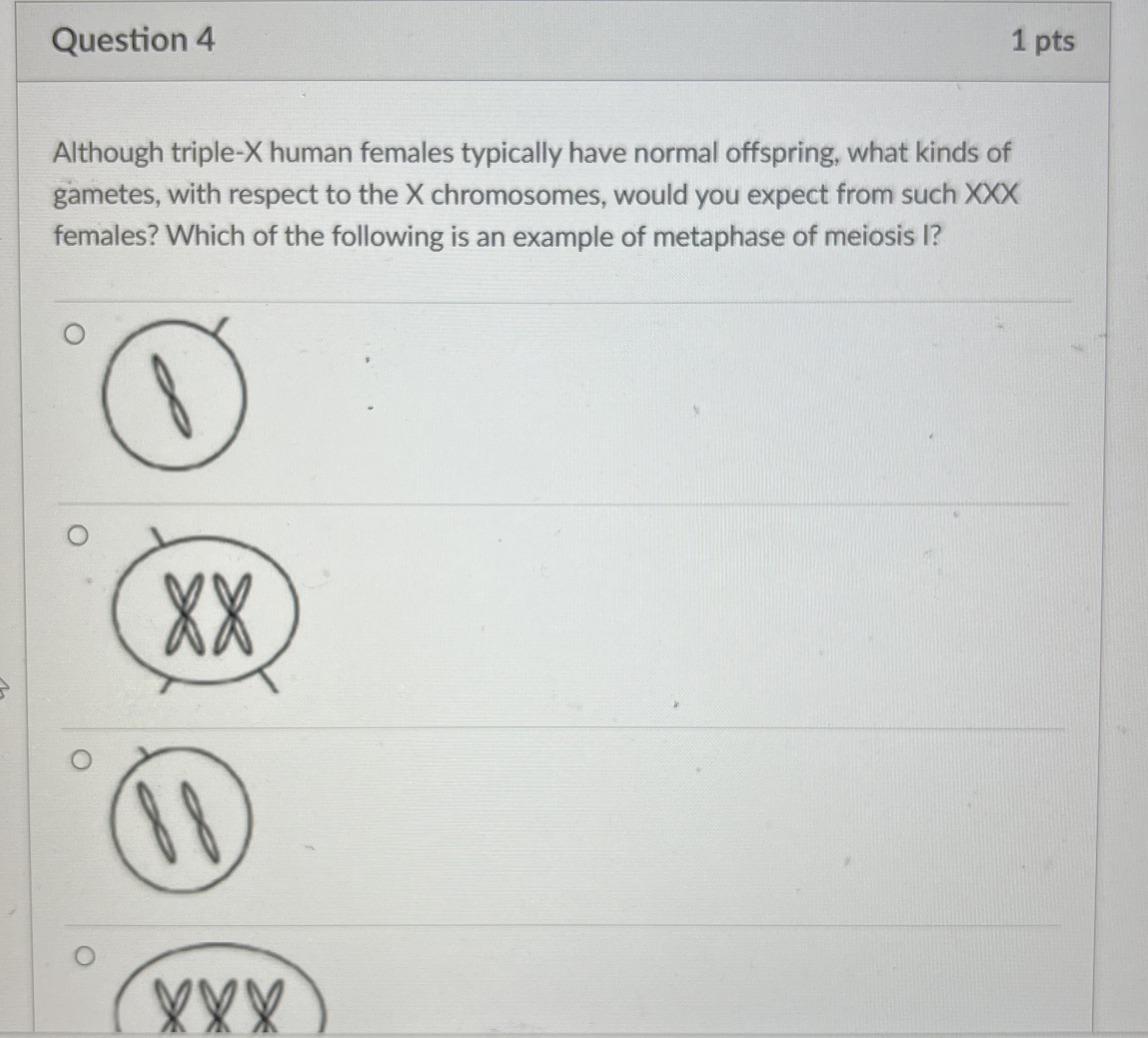 Solved Question 41 ﻿ptsAlthough triple-X human females | Chegg.com