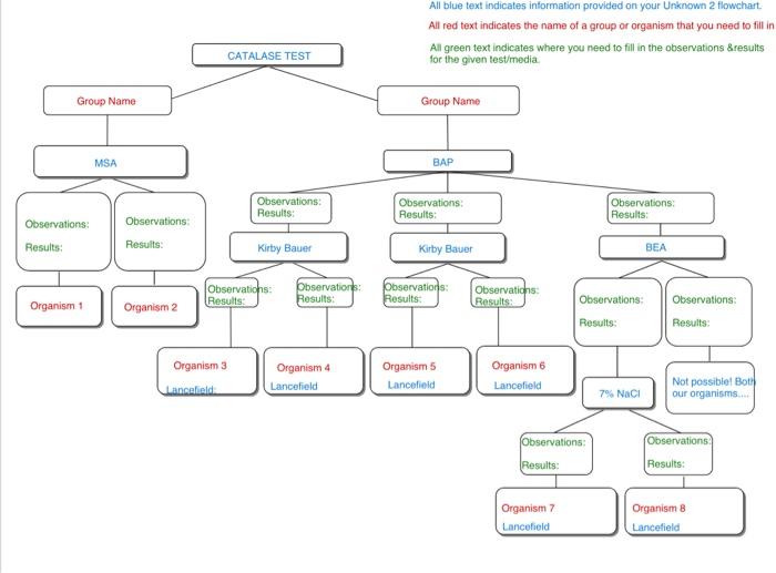 Solved Unknown \#2: Gram (+) cocci Dichotomous Key/Flowchart | Chegg.com