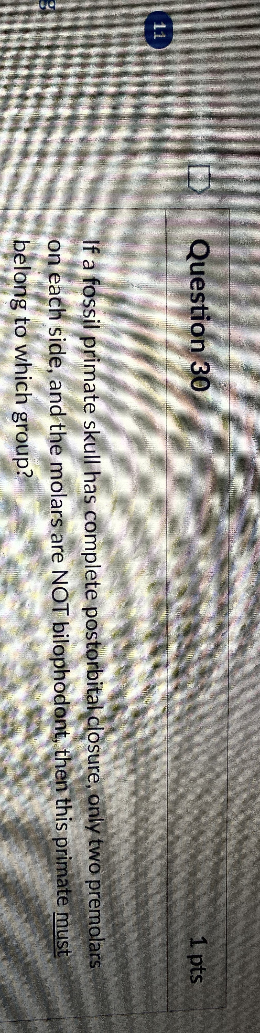 Solved Question 301 ﻿pts11If a fossil primate skull has | Chegg.com