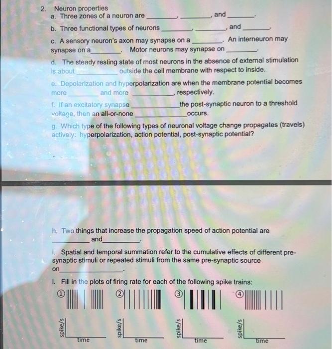 2. Neuron properties a. Three zones of a neuron are , | Chegg.com