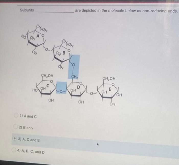 Solved Subunits are depicted in the molecule below as | Chegg.com