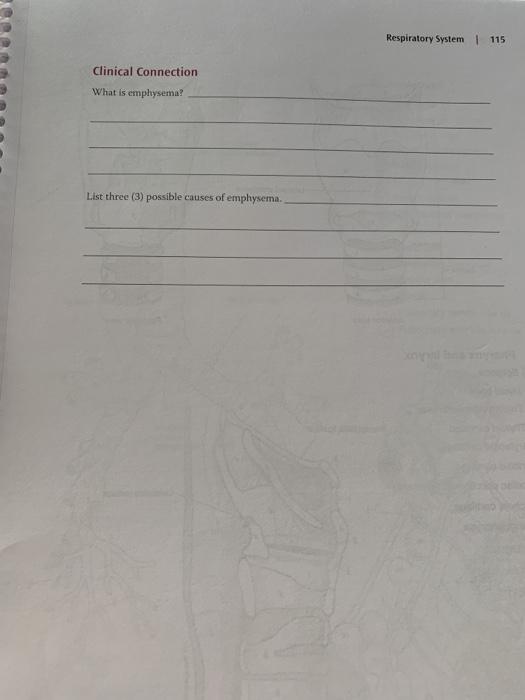 Solved Respiratory System 115 Clinical Connection What is | Chegg.com