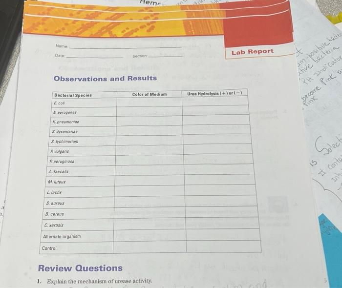 Solved Observations and Results Review Questions 1. Explain | Chegg.com