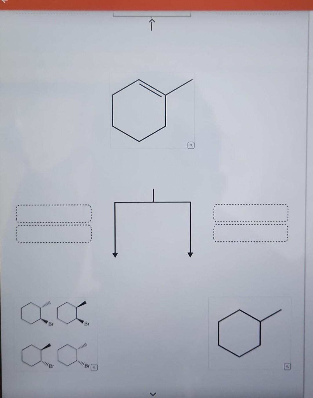 Solved A common alkene starting material is shown below. | Chegg.com