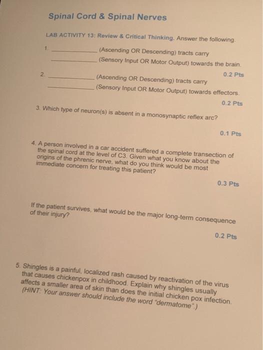 Solved Spinal Cord & Spinal Nerves LAB ACTIVITY 13: Review & | Chegg.com