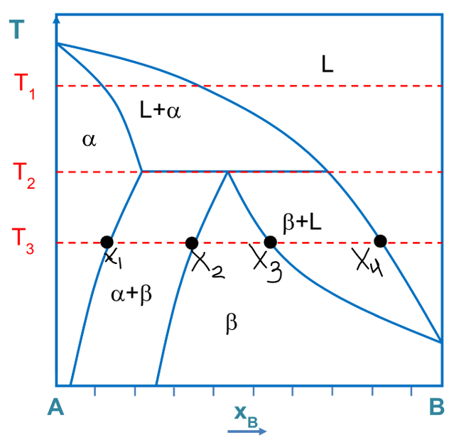 Solved Draw gibbs energy curve of all phases as function of | Chegg.com