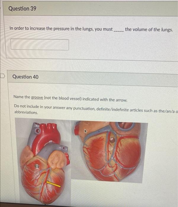 Solved Question 36 You are tracing a drop of blood. It is in | Chegg.com