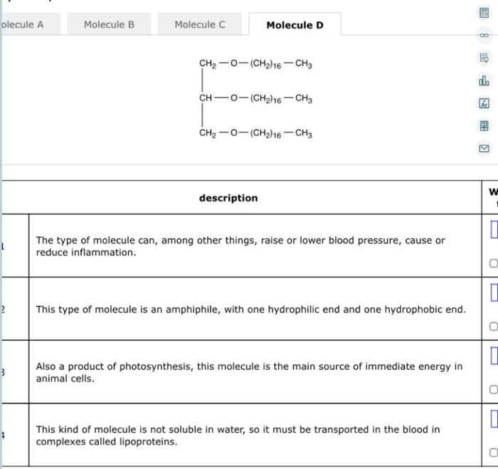 Take a look at example molecules A through D. In the | Chegg.com