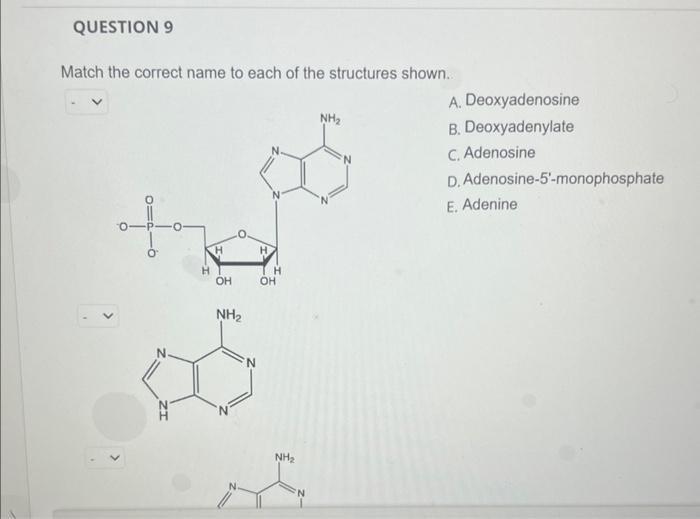 Solved For a simple one-substrate enzyme-catalyzed reaction | Chegg.com