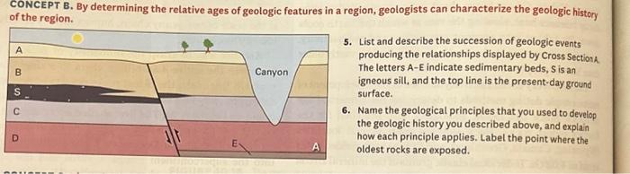 Solved 6. Name the geological principles that you used to de | Chegg.com