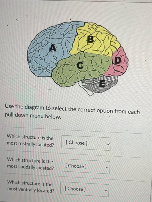 Solved Use the diagram to select the correct option from | Chegg.com