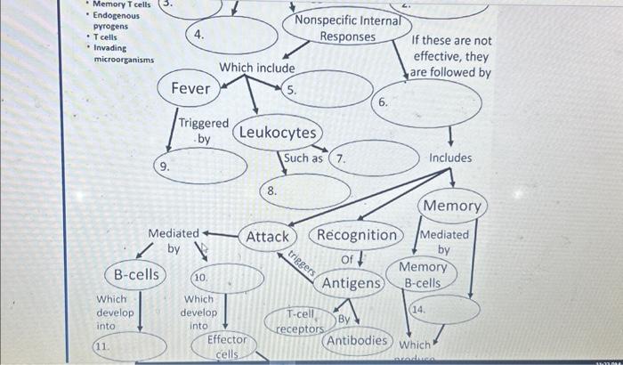 Solved For the concept map below, match each of the labels | Chegg.com