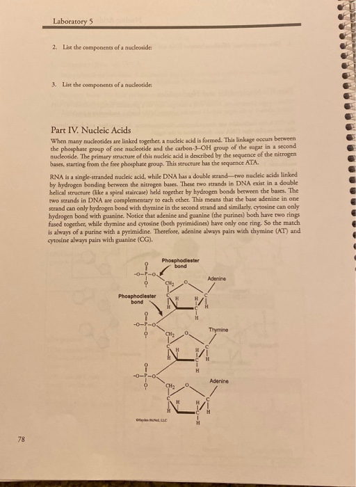 Solved Laboratory 5 2. List the components of a nucleoside: | Chegg.com