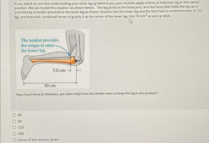 Solved If you stand on one foot while holding your other leg | Chegg.com