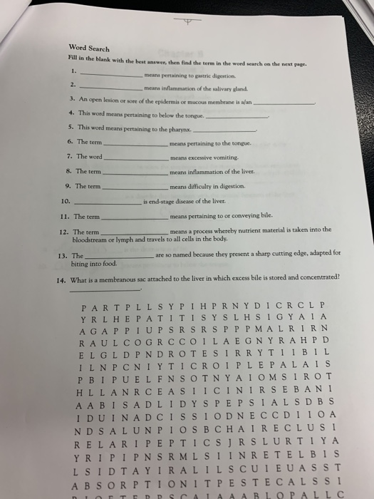 Solved Word Search Fill in the blank with the best new then | Chegg.com