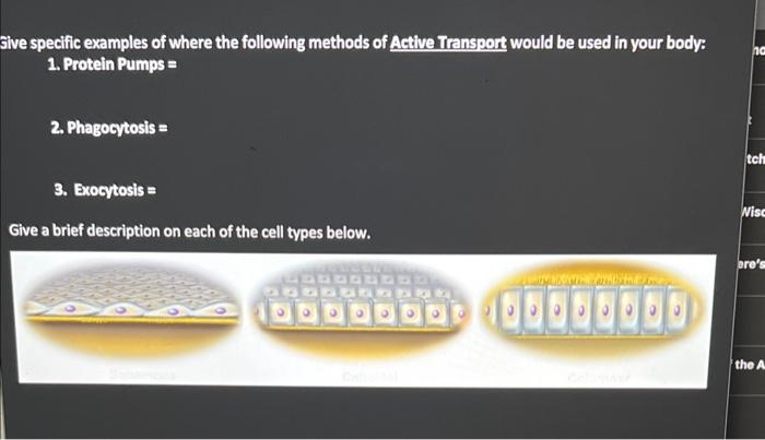Solved ilve specific examples of where the following methods | Chegg.com