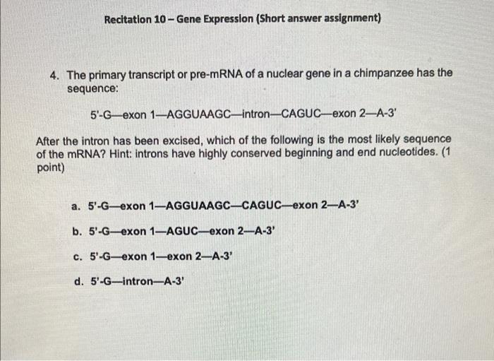 Solved Recitation 10 - Gene Expression (Short answer | Chegg.com