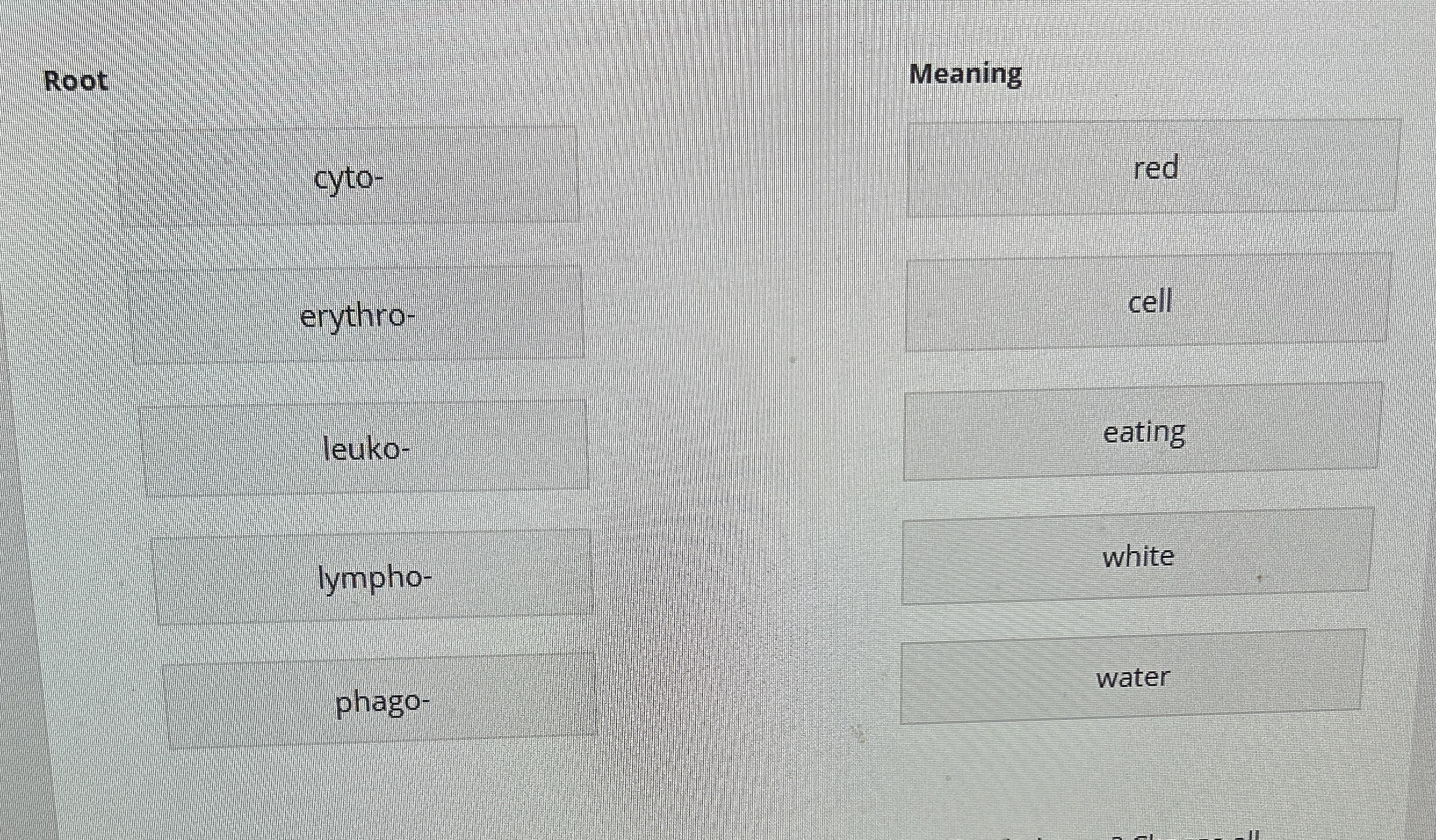 Solved Rootcyto-erythro-leuko-lympho-phago-Meaning redTh | Chegg.com