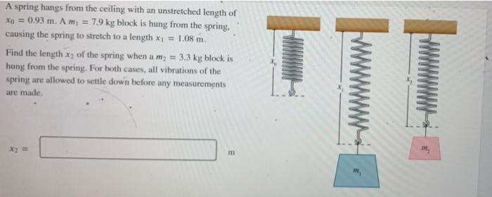 Solved A spring hangs from the ceiling with an unstretched | Chegg.com