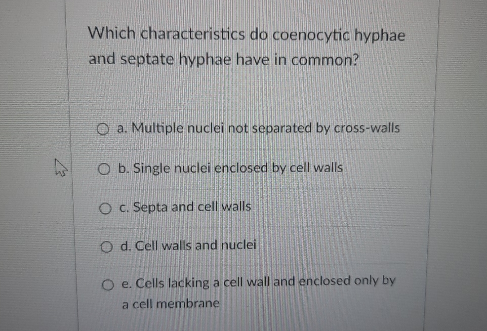 Solved Which characteristics do coenocytic hyphae and | Chegg.com