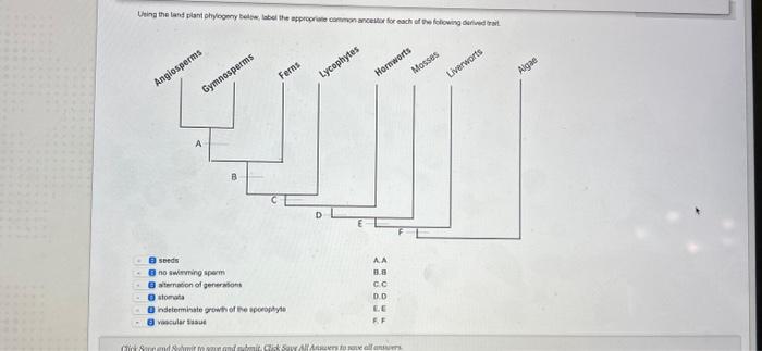 Solved Using the land plant phylogeny below, label the | Chegg.com