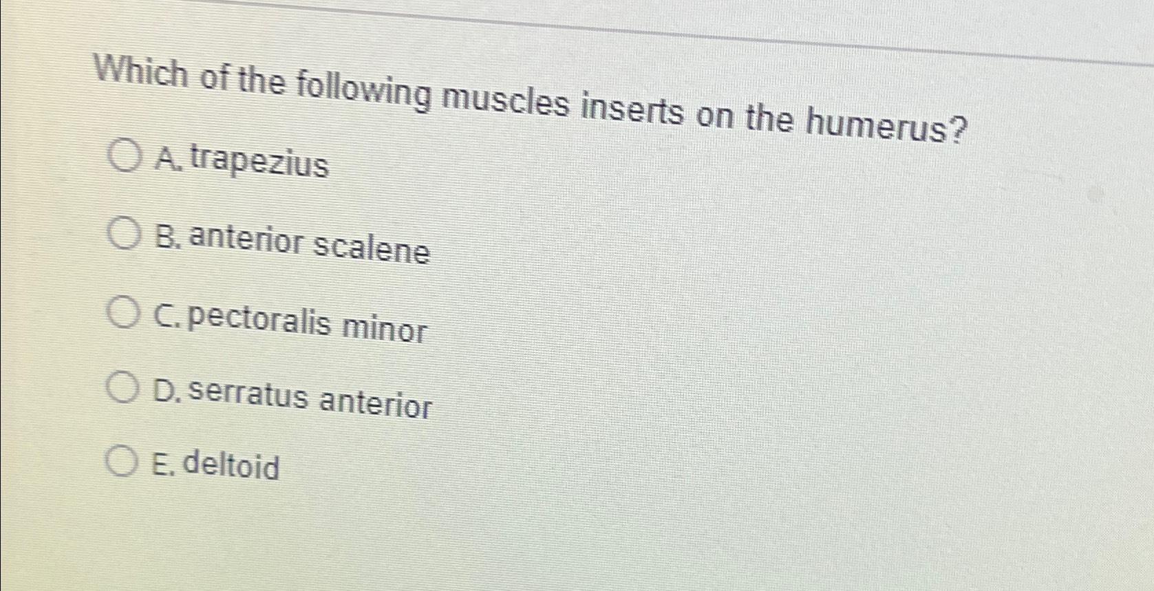 Solved Which of the following muscles inserts on the | Chegg.com