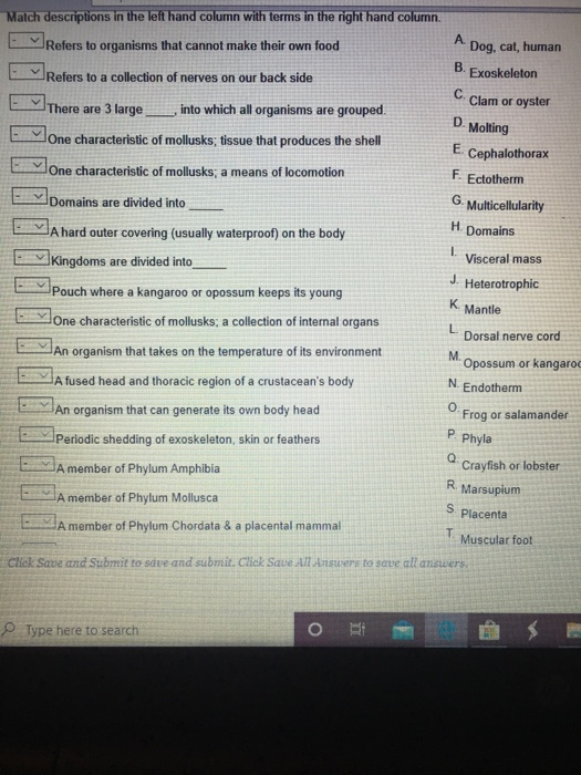 Solved Match descriptions in the left hand column with terms | Chegg.com