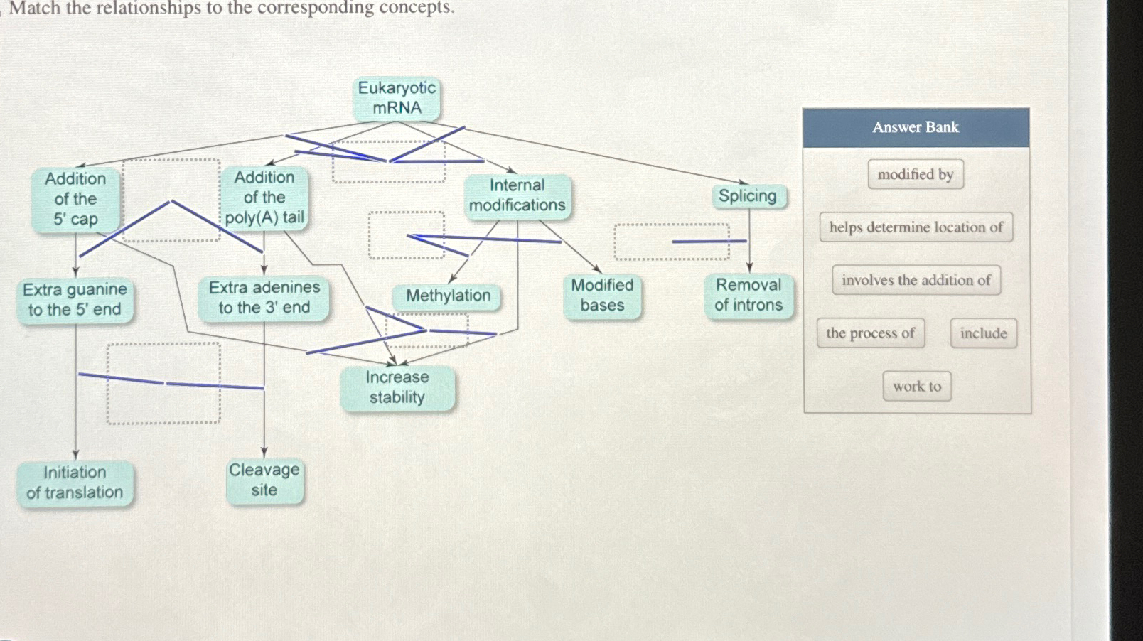 Solved Match the relationships to the corresponding | Chegg.com