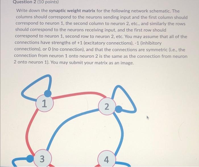 Solved Write down the synaptic weight matrix for the | Chegg.com